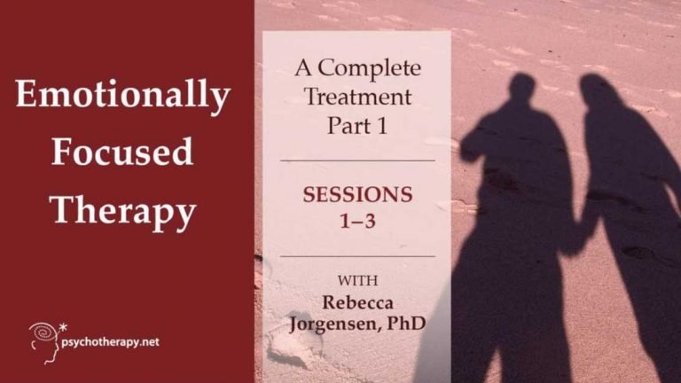 A Therapist's Guide to Emotionally Focused Couples Therapy: Working ...